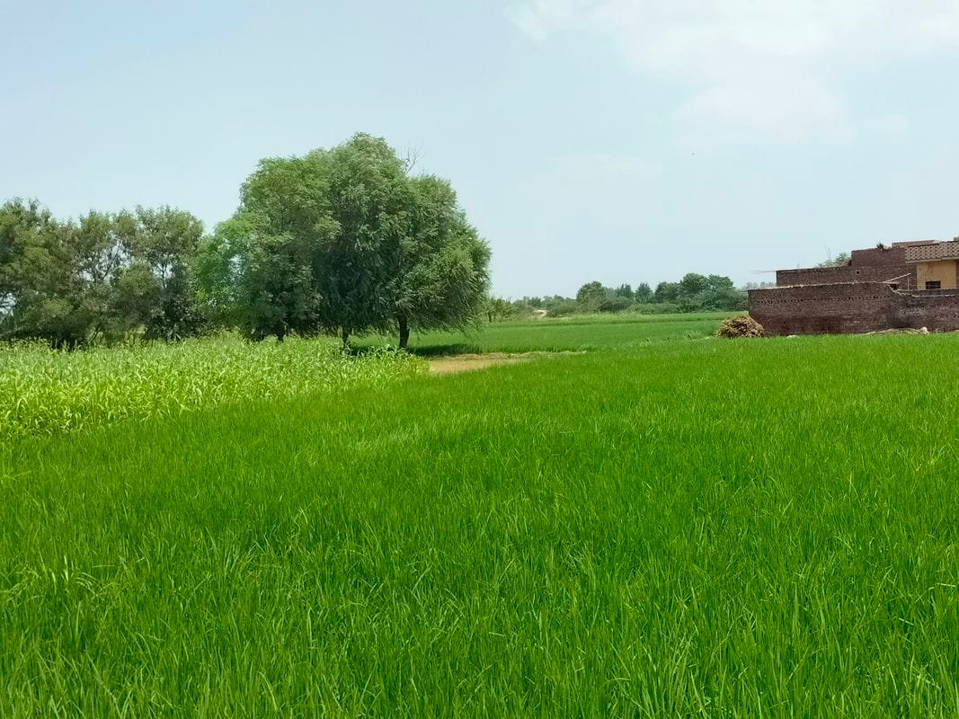 Wadara Village - Pak Geography