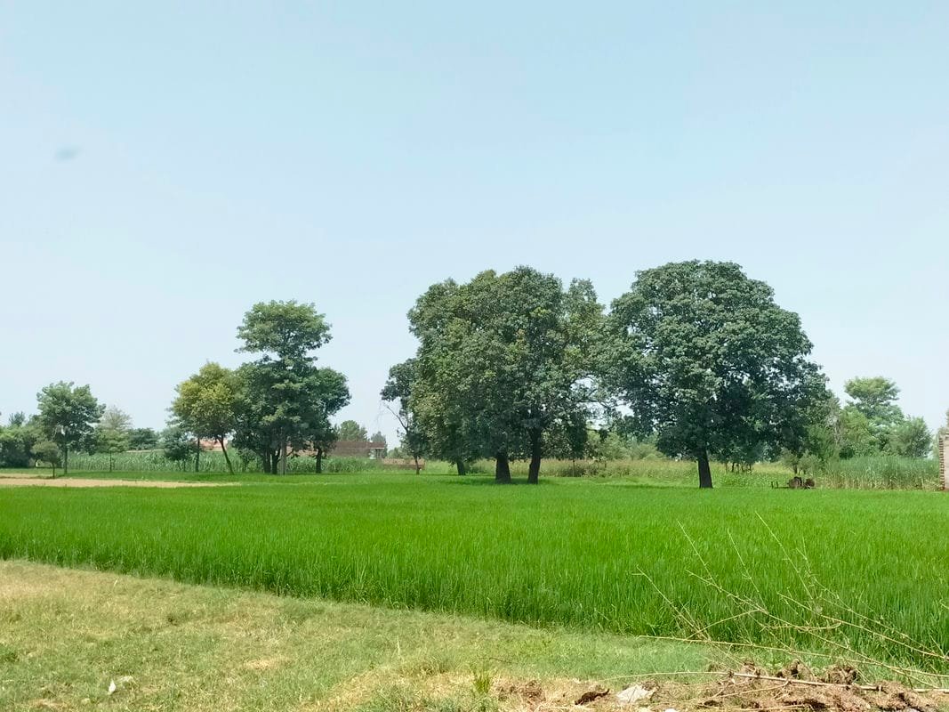 Wadara Village - Pak Geography