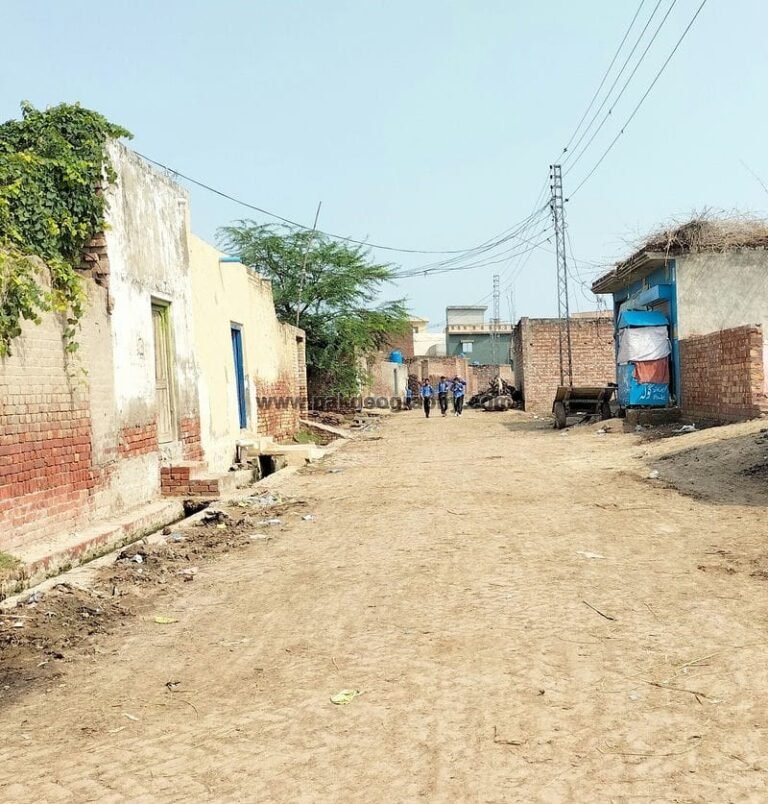 Orara Village - Pak Geography