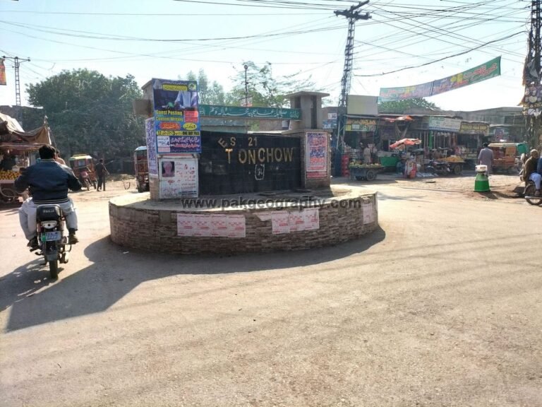 Pattoki Tehsil Overview: Population, Area & Administration - Pak Geography