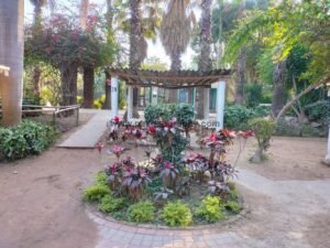 Rana Resort & Safari Park: Top Attractions - Pak Geography