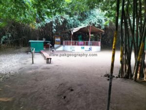 Rana Resort & Safari Park: Top Attractions - Pak Geography