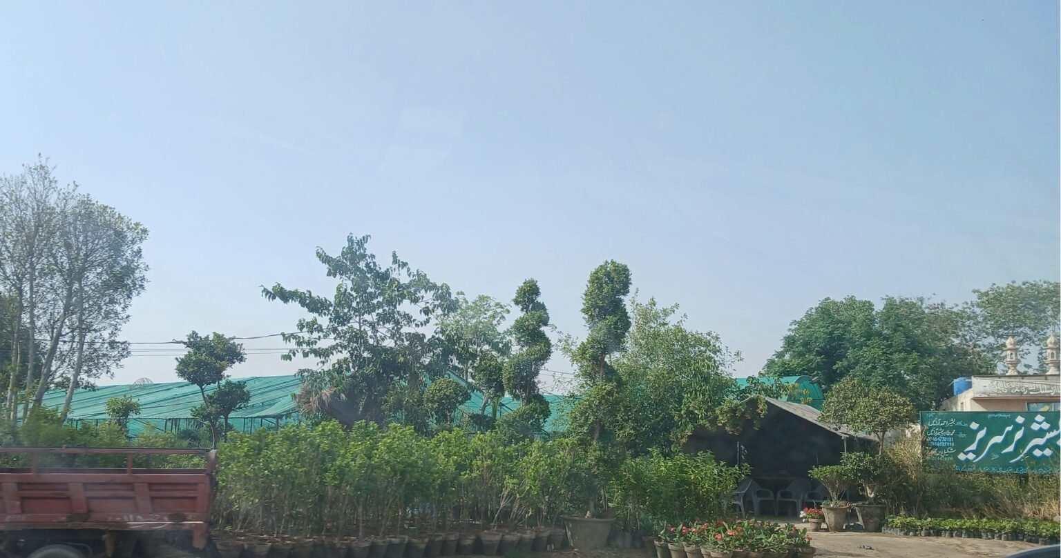 Pattoki Tehsil Overview: Population, Area & Administration - Pak Geography