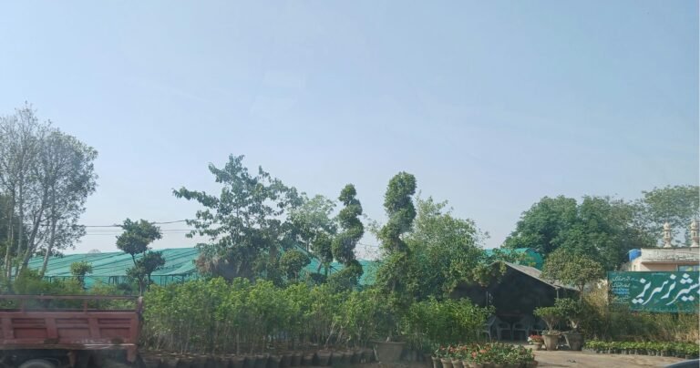 Pattoki Tehsil Overview: Population, Area & Administration - Pak Geography