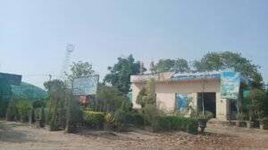 Pattoki Tehsil Overview: Population, Area & Administration - Pak Geography