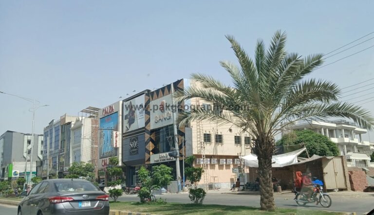 Okara City and District: History, Facts, and Overview - Pak Geography