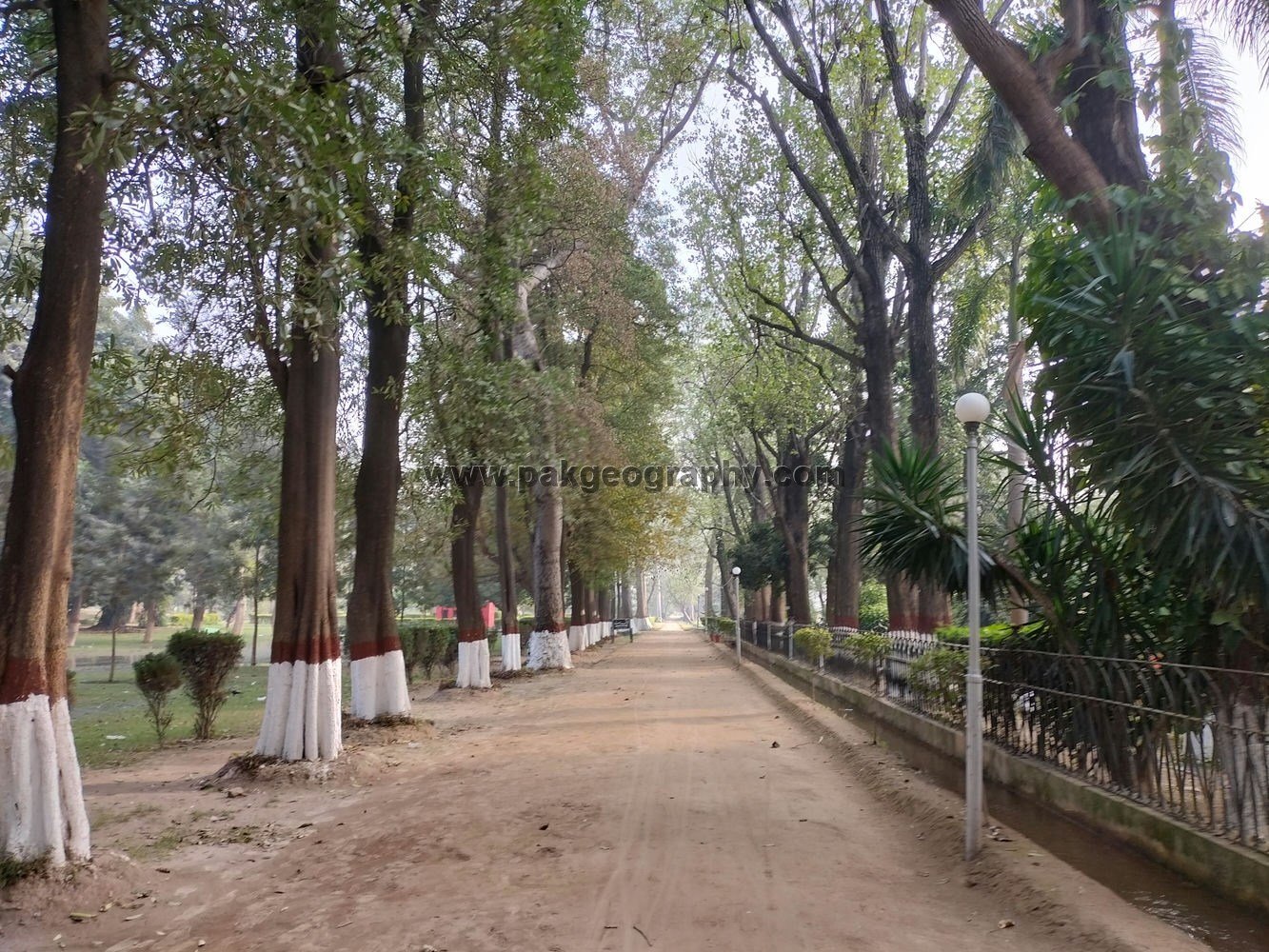 Changa Manga Forest Park | History & Tourism - Pak Geography